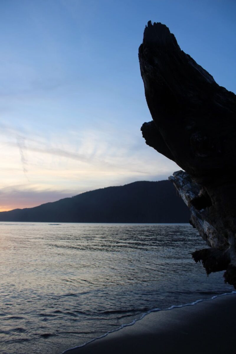 Campground Port Renfrew: Experience Pacheedaht Campground on Vancouver ...