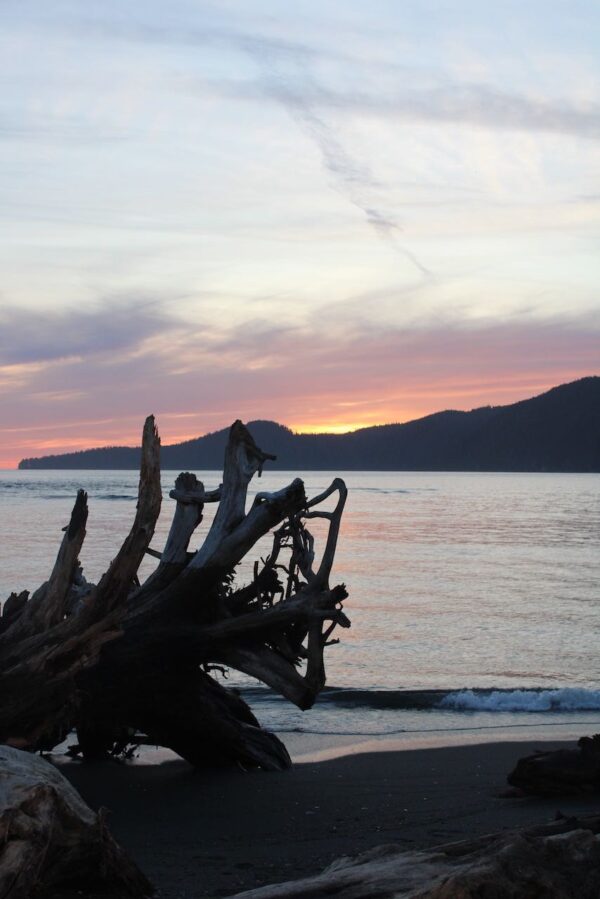 Campground Port Renfrew: Experience Pacheedaht Campground on Vancouver ...